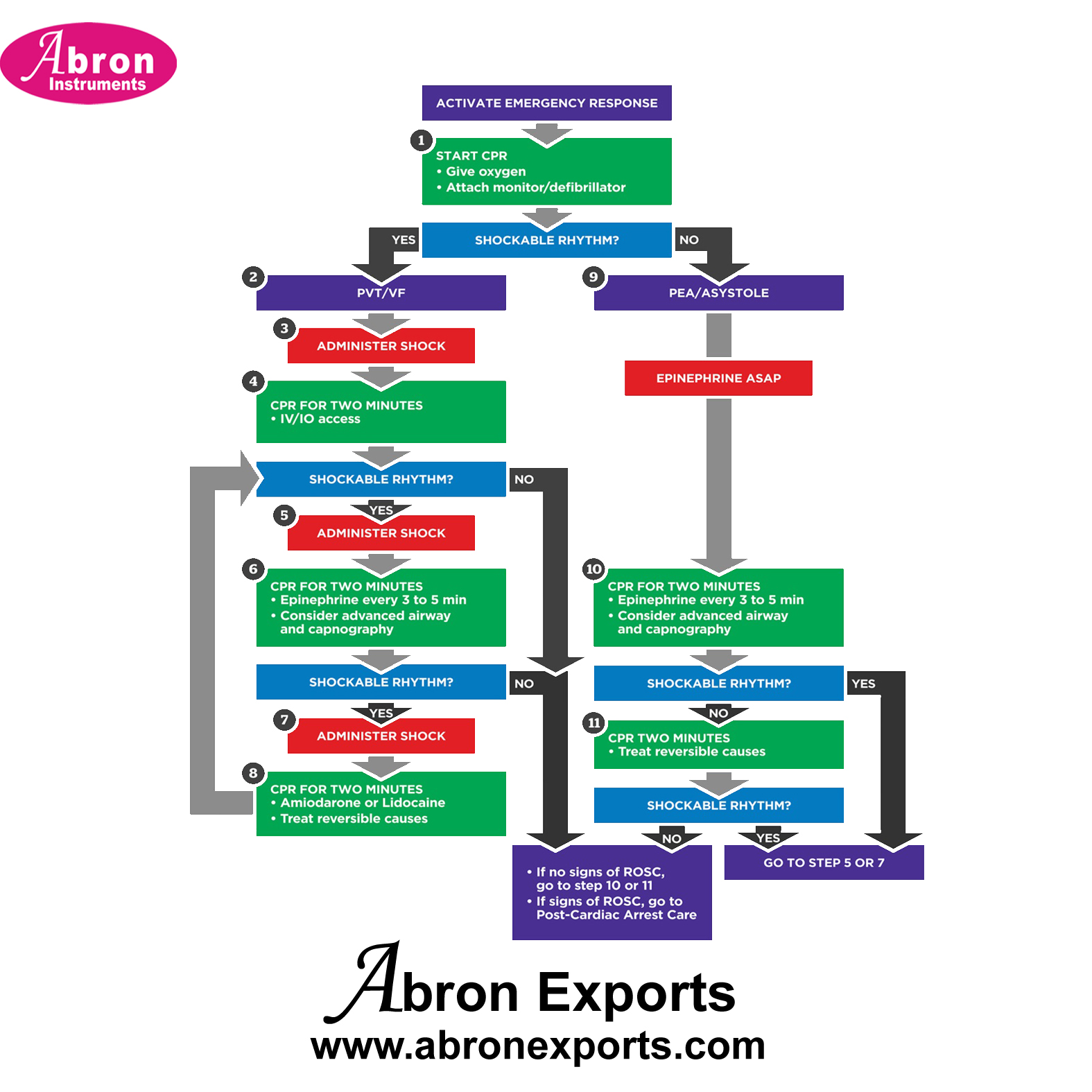 Chart Adult Cardiac Arrest Algorithm Updated ACLS Training Advanced Cardiac Life ABM-2491CCD ...
